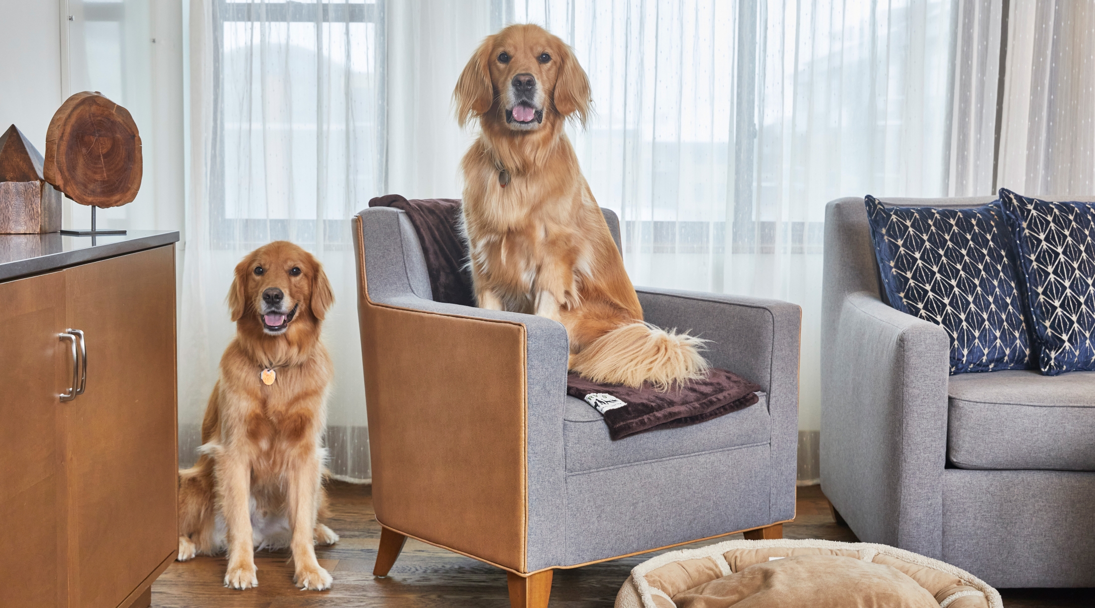 Pet Friendly - The Hotel Landing